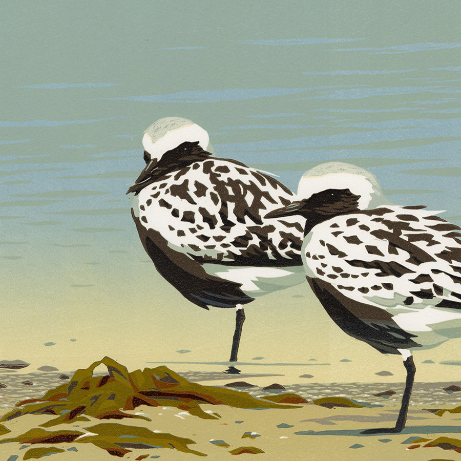 Erik VAN OMMEN - Gray Plovers - Zilverplevieren - color woodcut ...