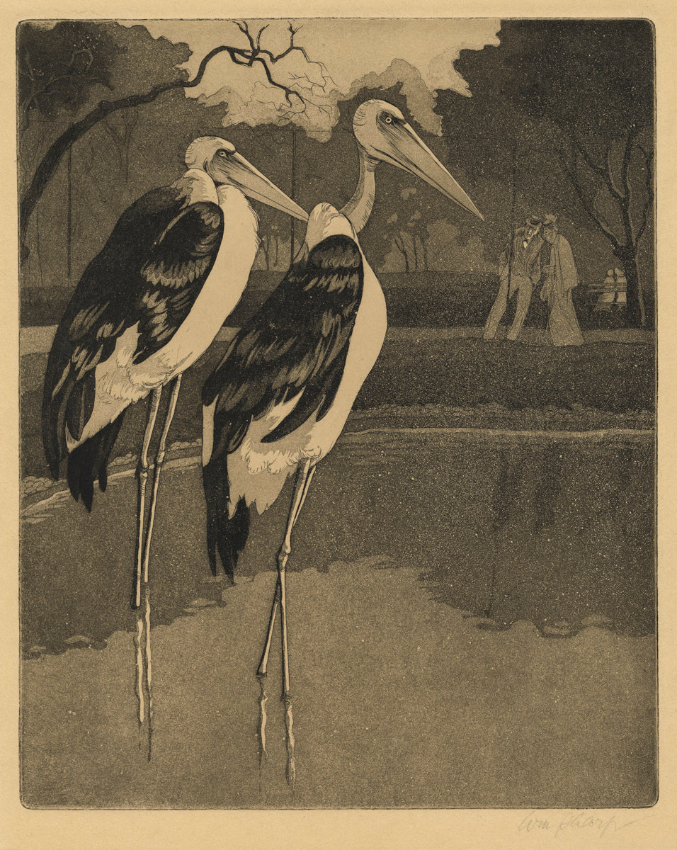 William Sharp - Lincoln Park Marabous - Aquatint and Etching - 1940 ...