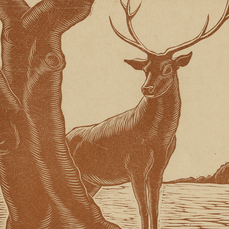 Jan Christiaan Maas - Seven Point Buck - wood engraving — Armstrong ...
