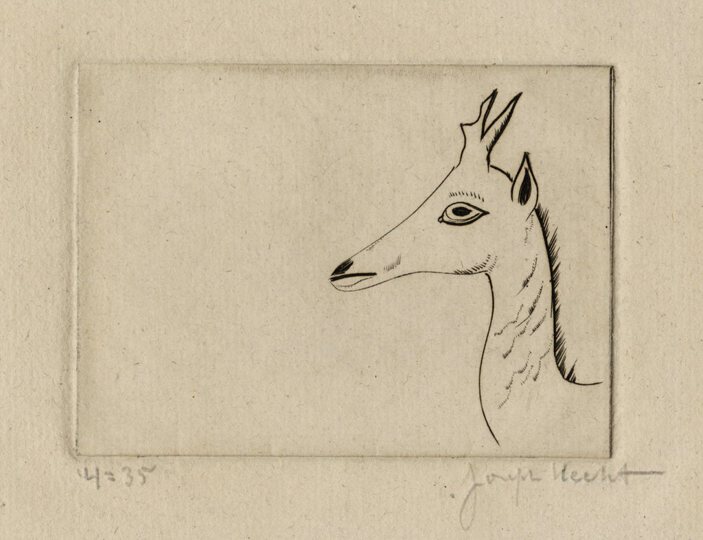 Joseph Hecht - Head of a Young Deer - Engraving on laid paper, 1928 ...