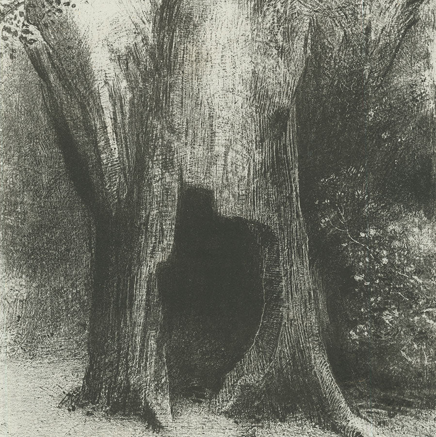 Odilon REDON: I sunk into solitude. I lived in the Tree behind Me ...