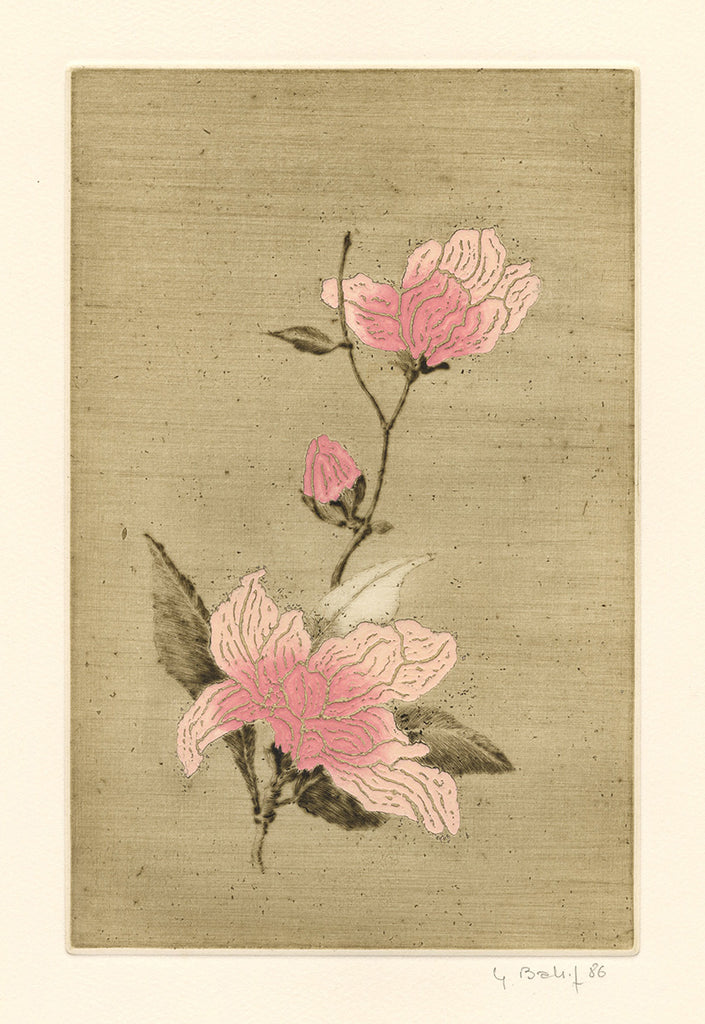 Yannick BALLIF (1927-2009) Eglantine, Sweet-Brier, flower branch bud ...